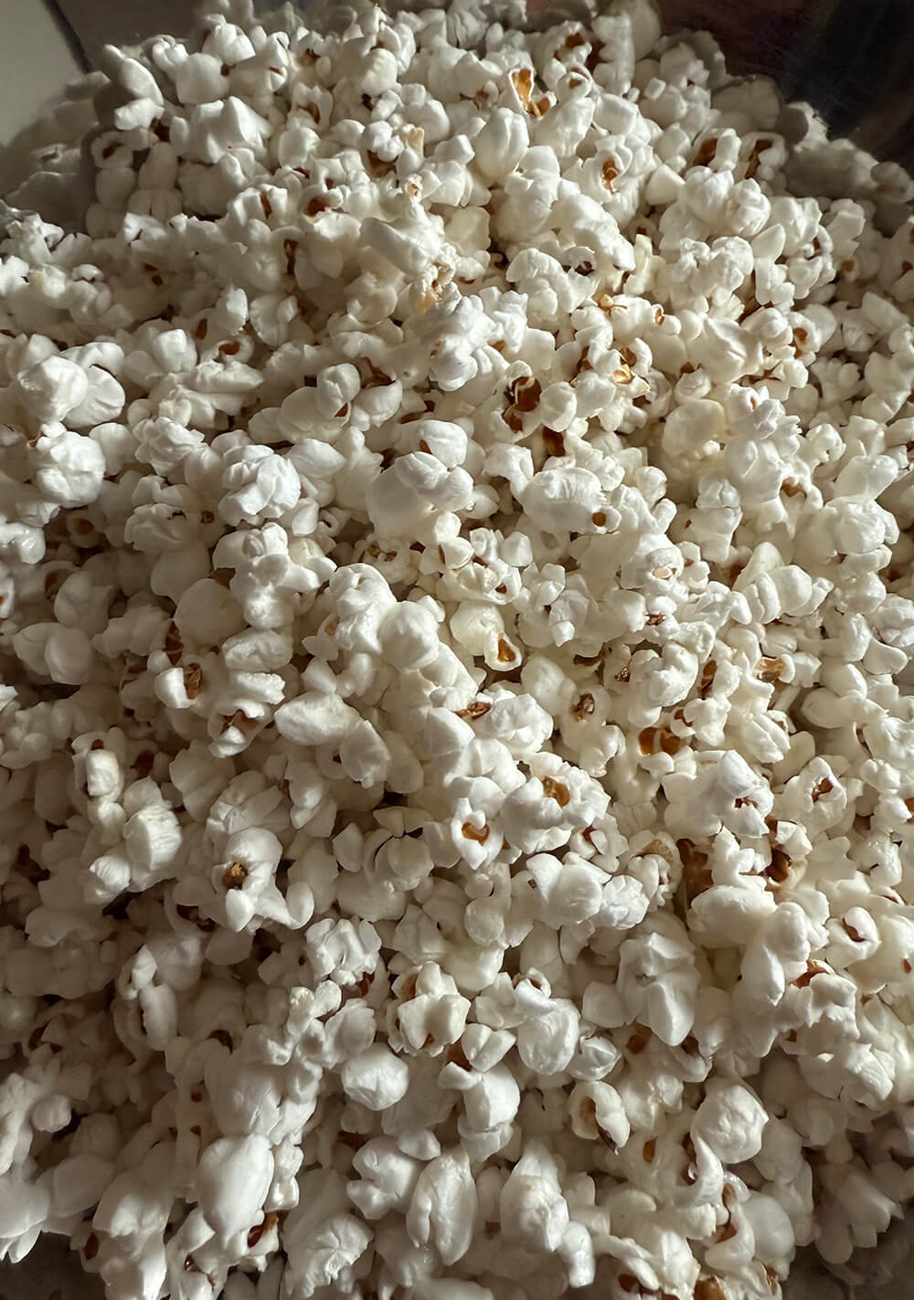SchoolHouse Farms | Popcorn